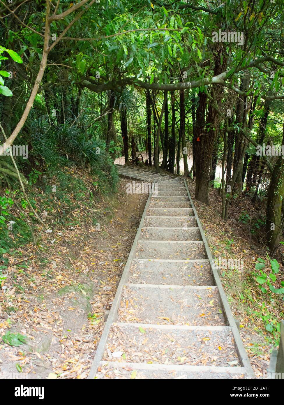 Steps Leading Down On A Bush Walk Stock Photo - Alamy