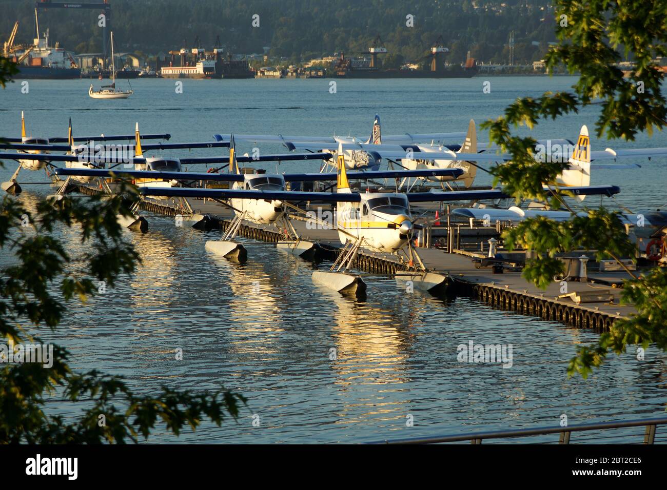 Waterplanes in the harbour of Vancouver, B.C Stock Photo - Alamy