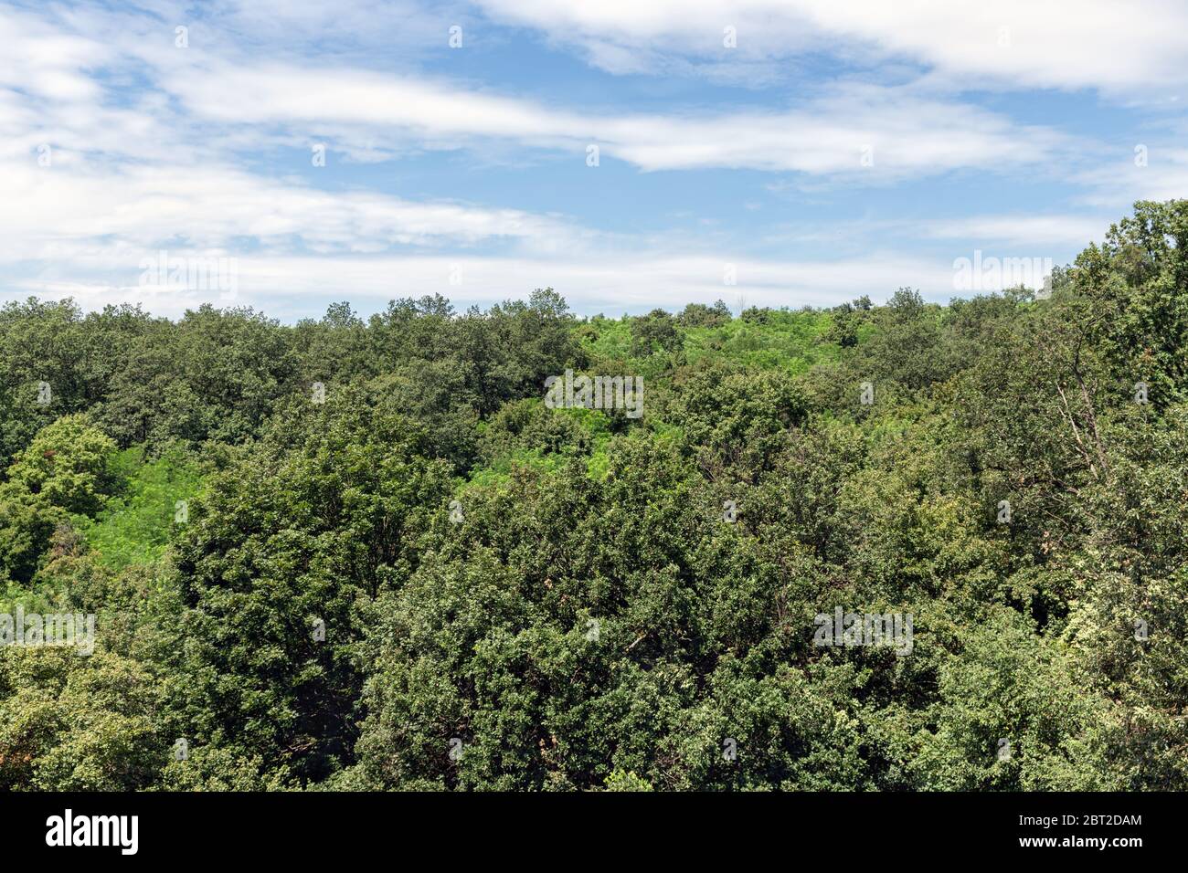 Aerial forest edge hi-res stock photography and images - Alamy