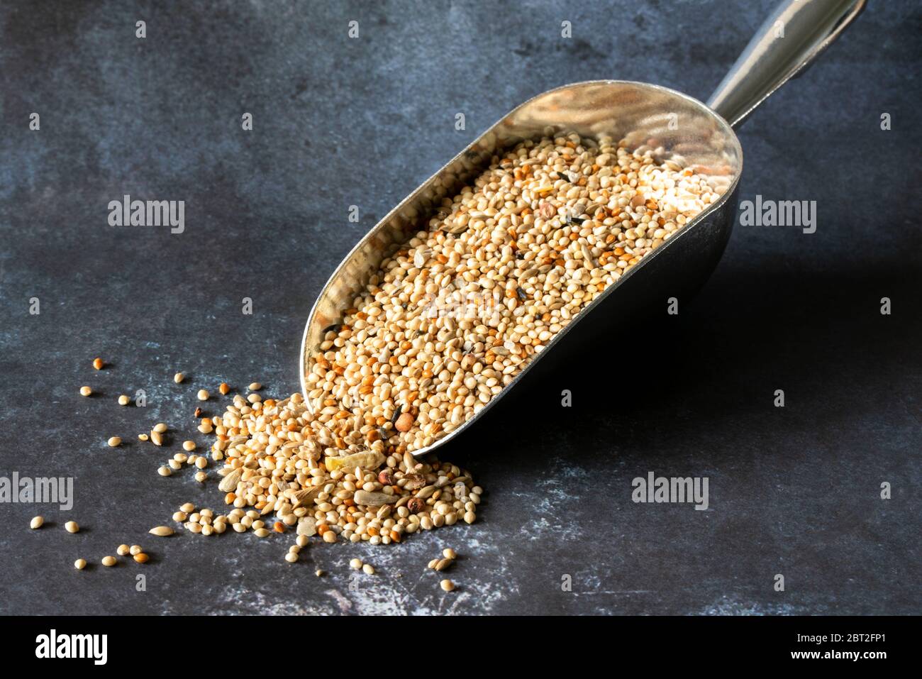 Bird Seeds Spilled from a Scoop Stock Photo - Alamy