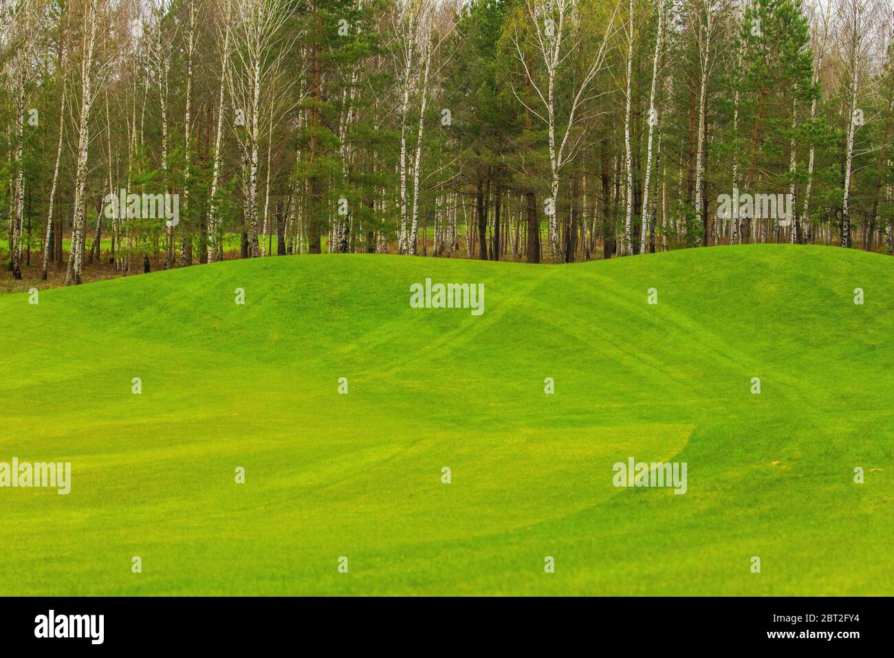 Golf field hi-res stock photography and images - Alamy