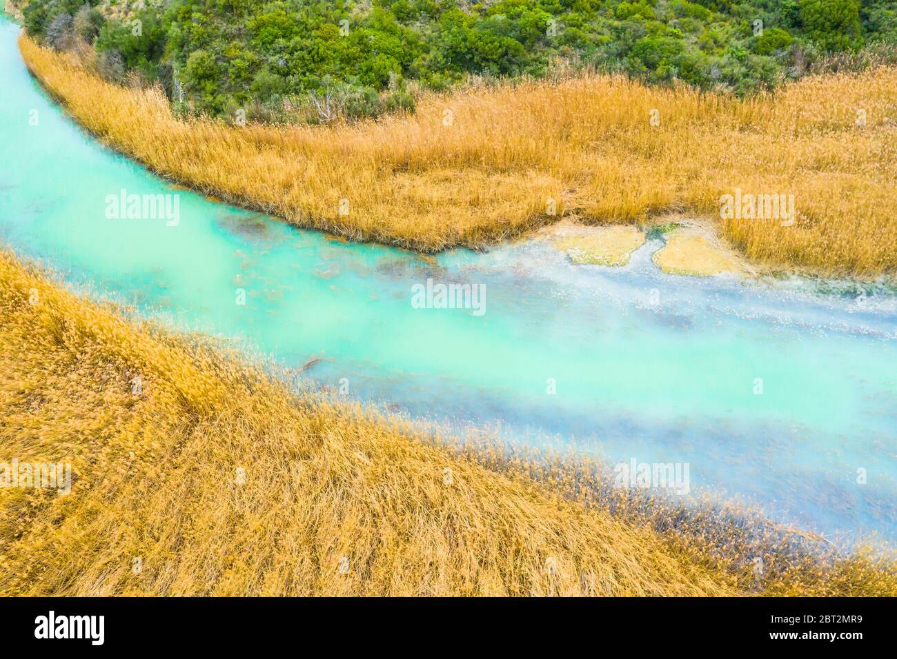 Aerial drone view cane reed hi-res stock photography and images - Alamy