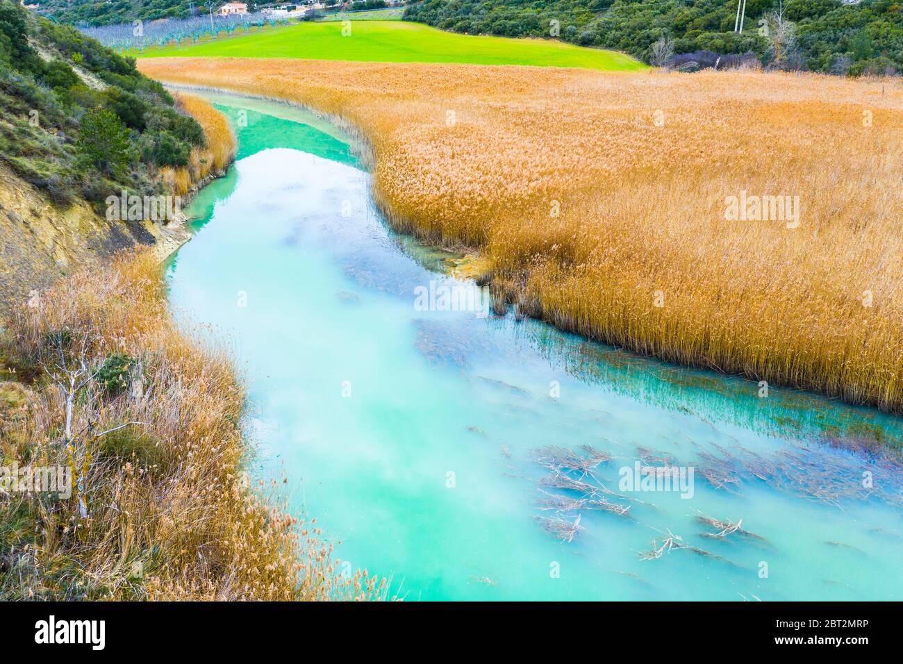 Reedbed hi-res stock photography and images - Alamy