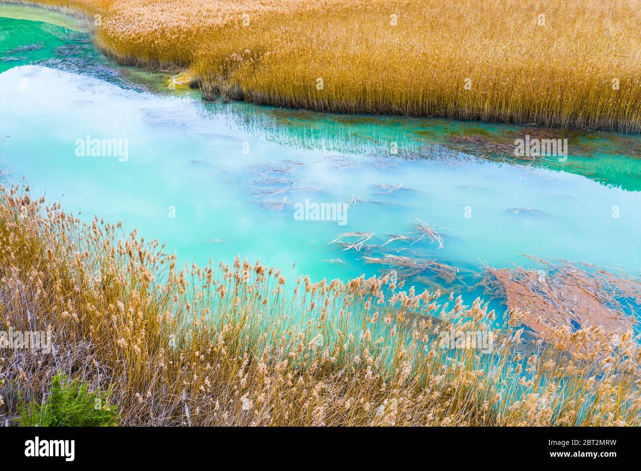 Reedbed hi-res stock photography and images - Alamy