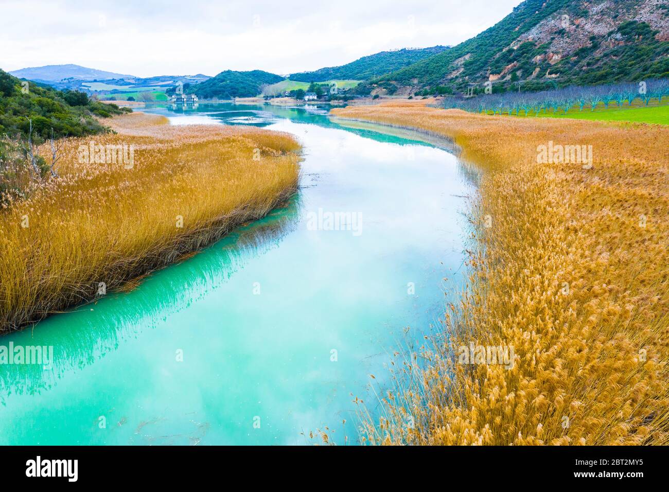 Reedbed hi-res stock photography and images - Alamy