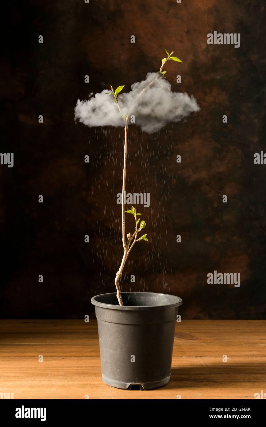 Resilience image hi-res stock photography and images - Alamy