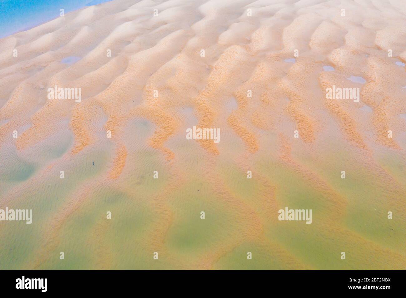 Sandy sediments in low tide in a river close to the sea Stock Photo - Alamy