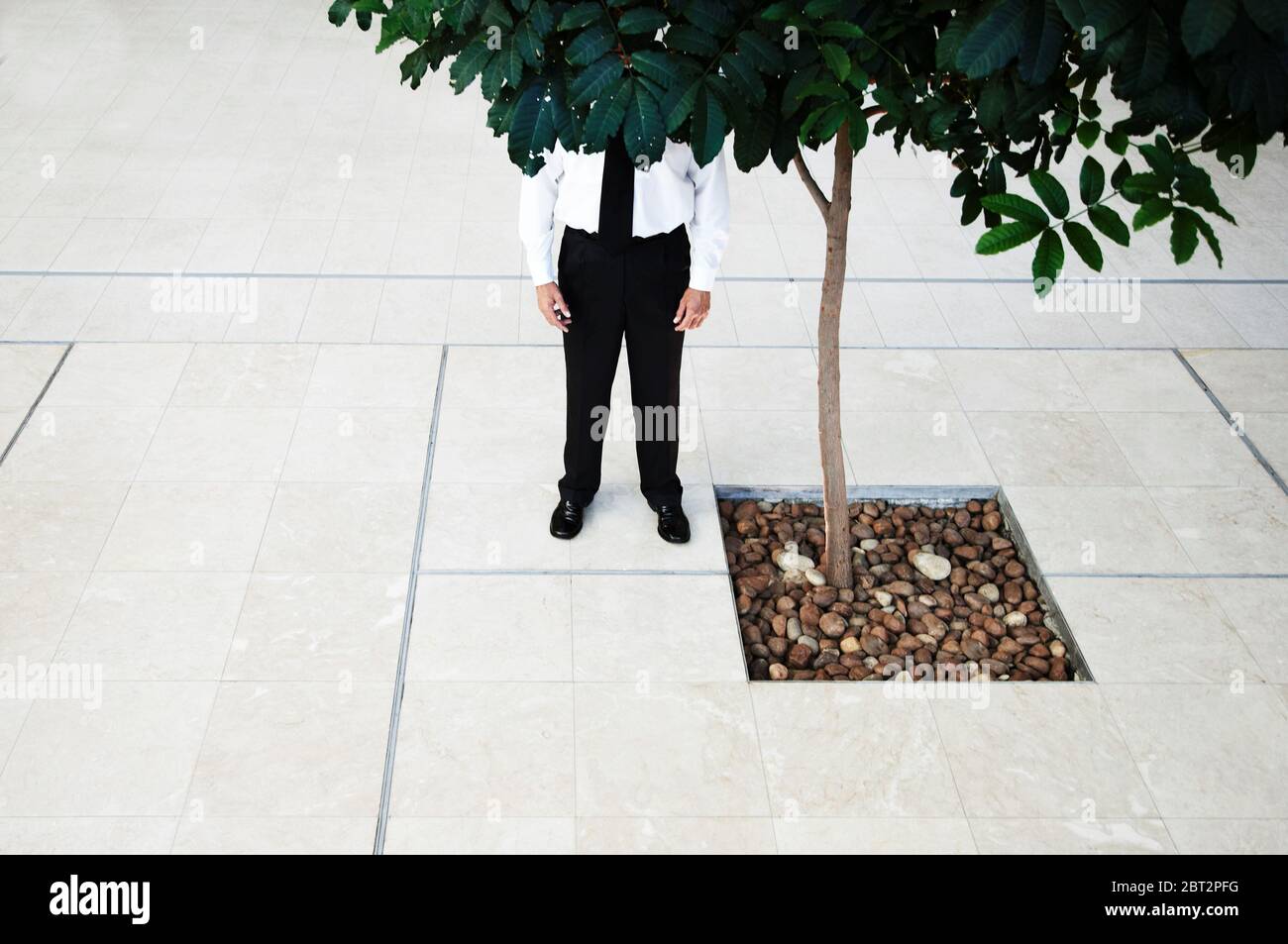 Man woodland cellphone hi-res stock photography and images - Alamy