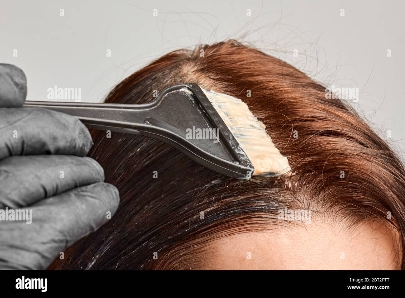 Closeup woman hands dyeing hair using a black brush. Colouring of white ...