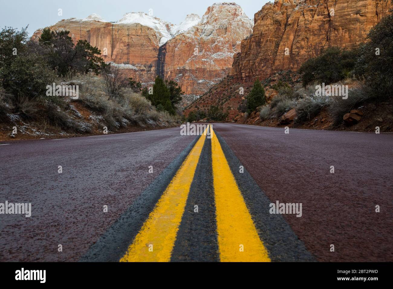 Road through Zion National Park, Utah, USA Stock Photo - Alamy