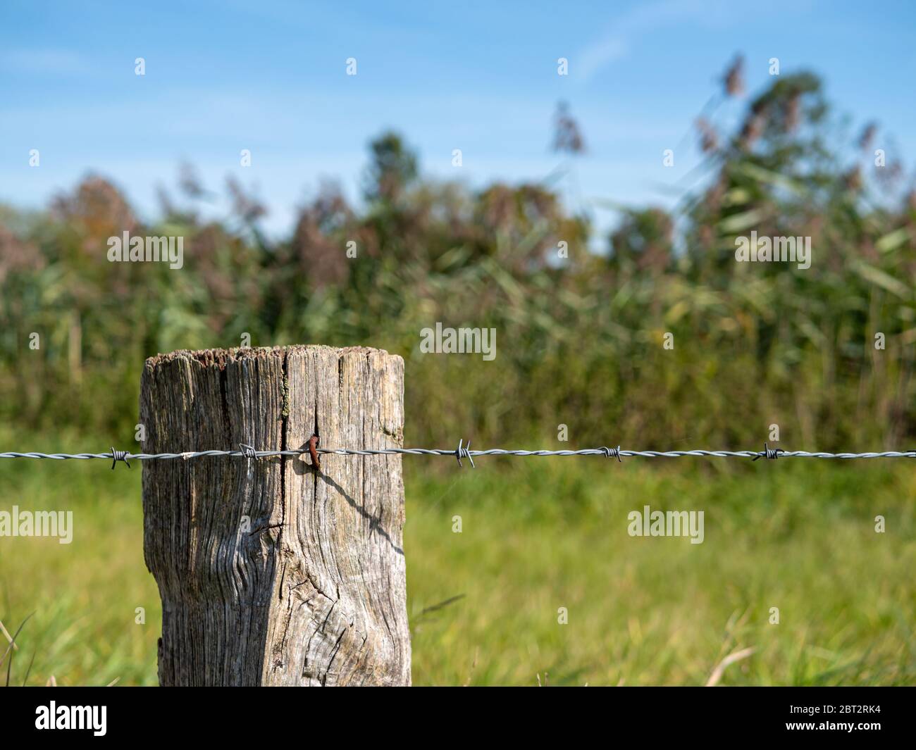 Old wicker fence post, wood pile with tensioned barbed wire Stock Photo ...