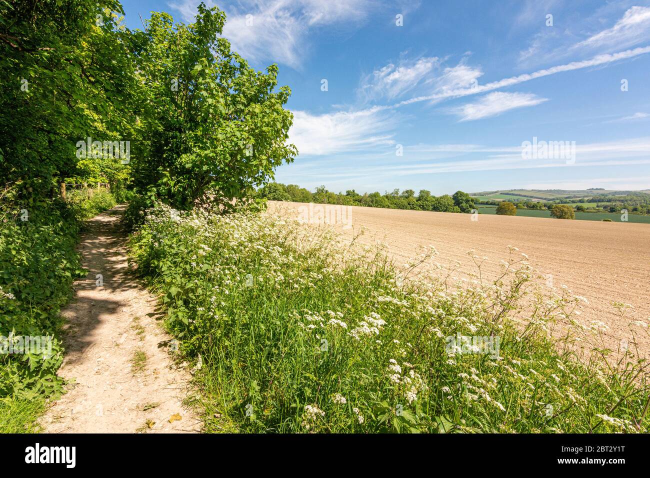 The Monarch's Way Long Distance Path as it leads away, skirting ...