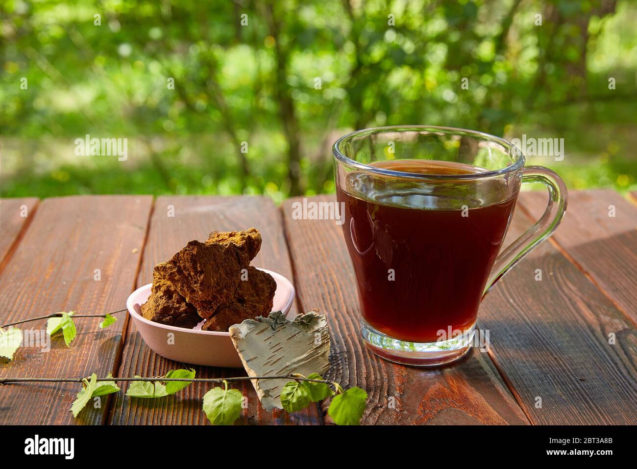 Cup of chaga tea on a dark table. Chaga mushroom slices and a birch ...