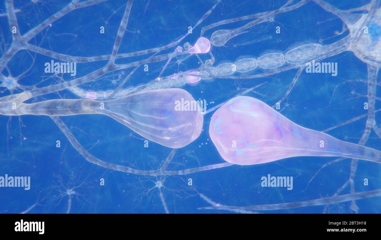3d illustration brain neurons with synapses and axons Stock Photo - Alamy