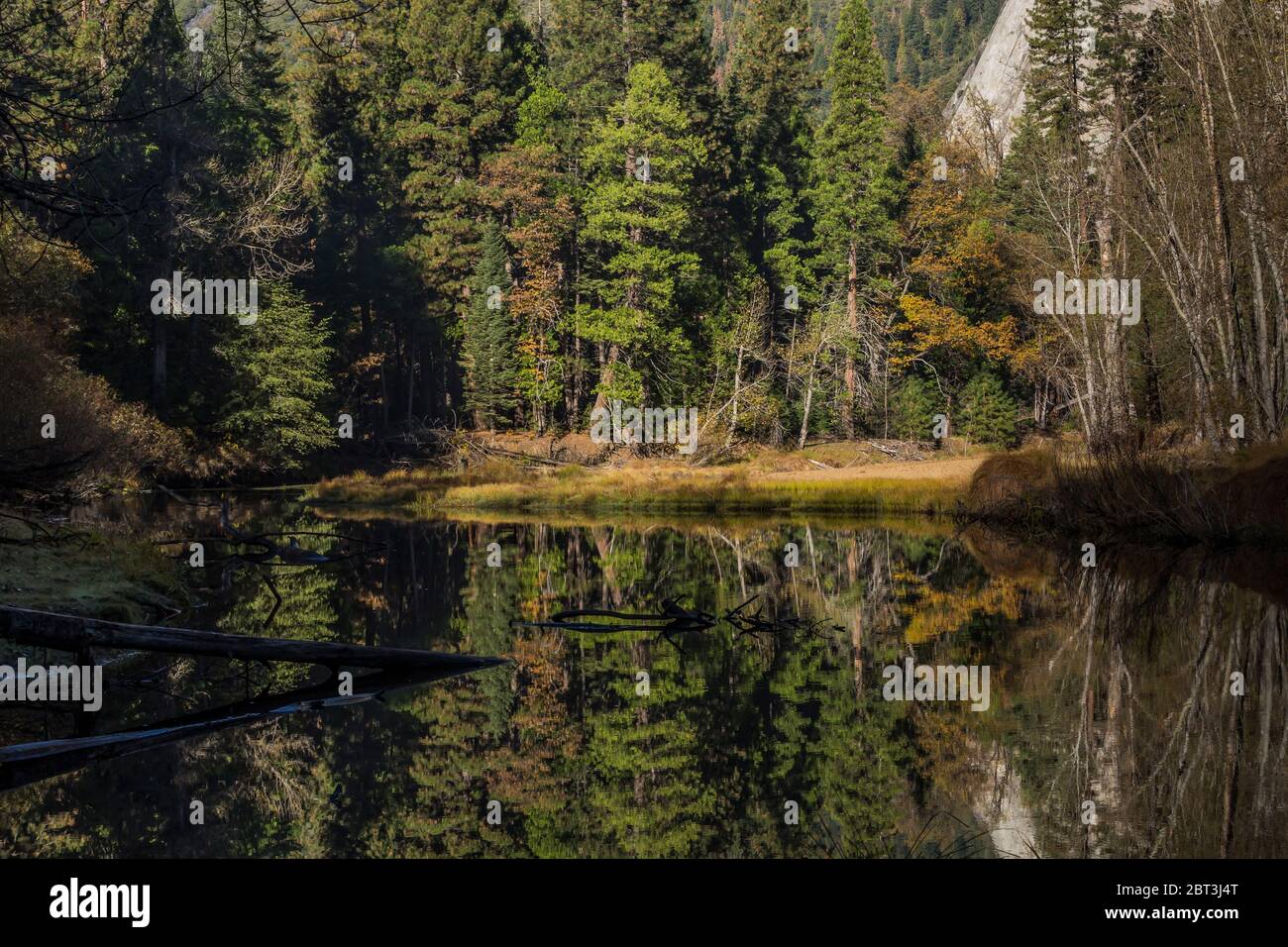 A quiet stretch of the Merced River in Yosemite Valley, Yosemite ...