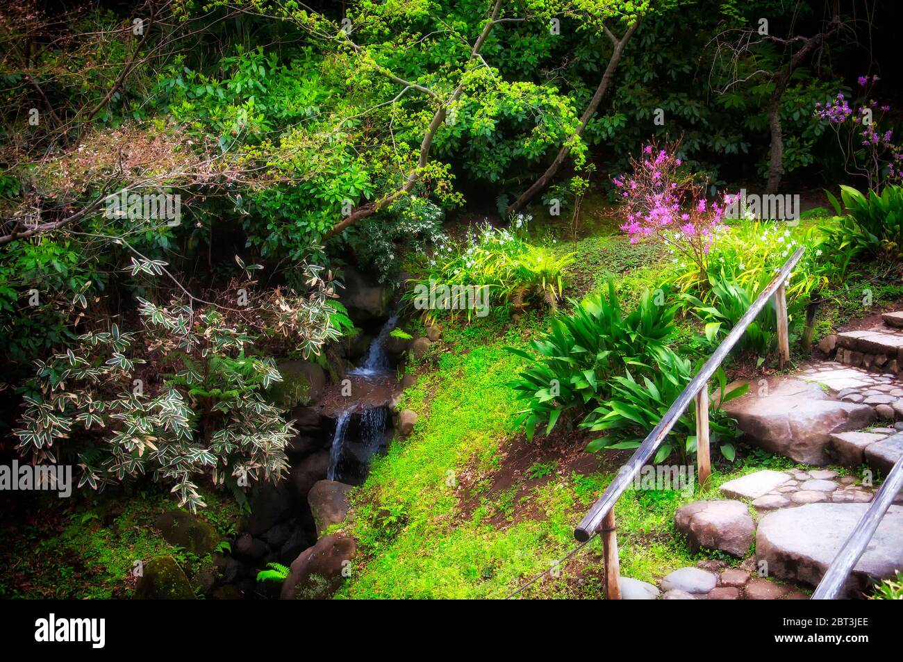Stone steps japanese garden hi-res stock photography and images - Alamy