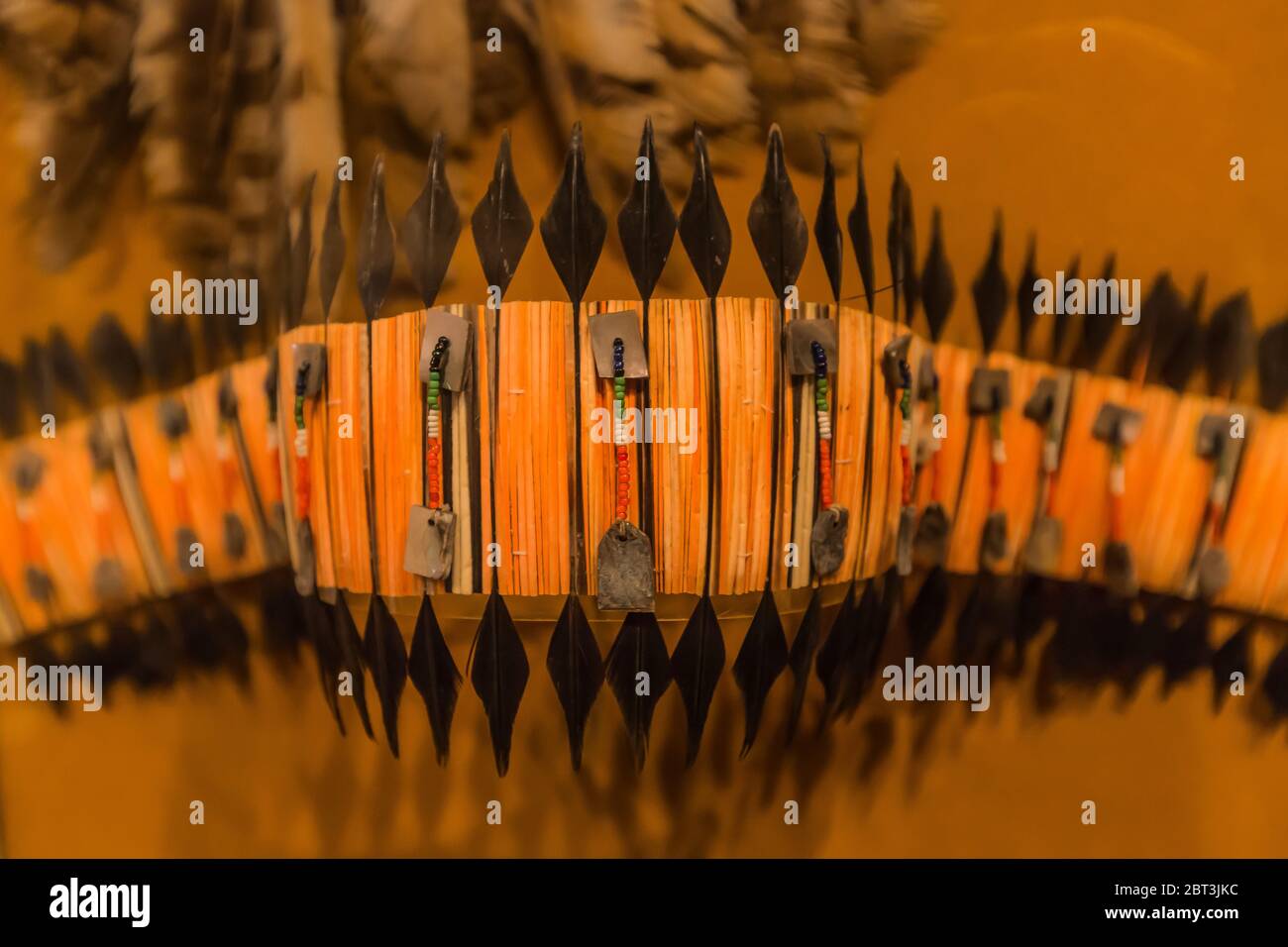 Native american indian flicker hi-res stock photography and images - Alamy