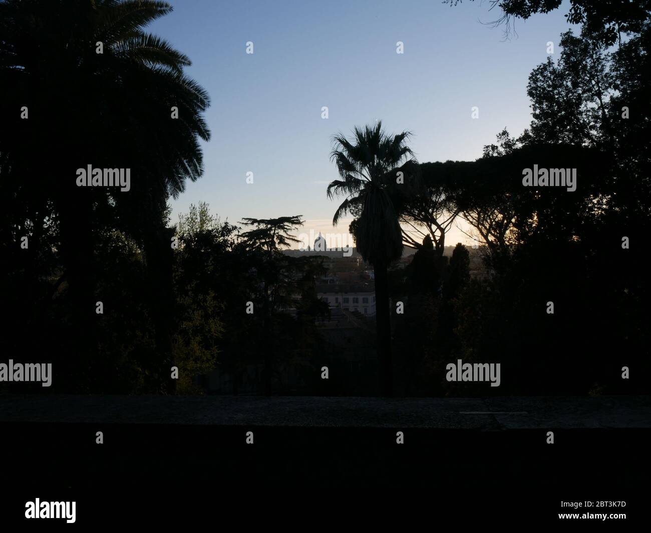 Palm trees in rome hi-res stock photography and images - Alamy