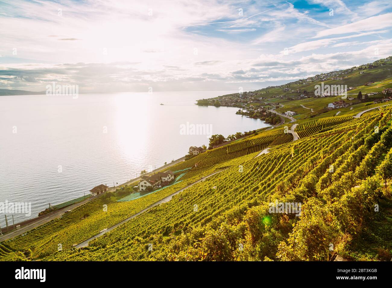 Lavaux, Switzerland: Lake Geneva and the Swiss Alps landscape seen from ...