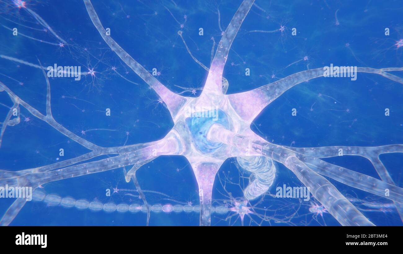 3d illustration brain neurons with synapses and axons Stock Photo - Alamy
