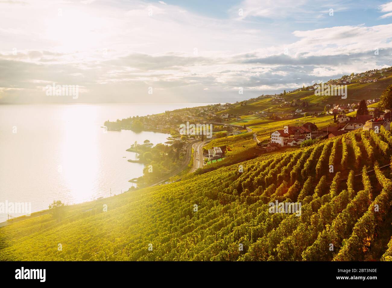 Lavaux, Switzerland: Lake Geneva and the Swiss Alps landscape seen from ...