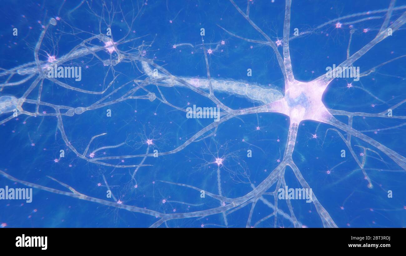 3d illustration brain neurons with synapses and axons Stock Photo - Alamy
