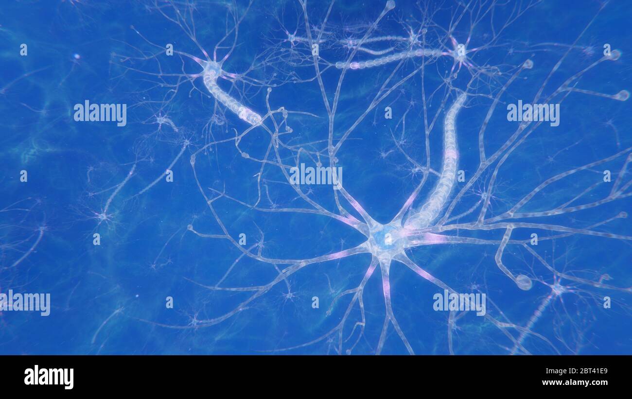 3d illustration brain neurons with synapses and axons Stock Photo - Alamy