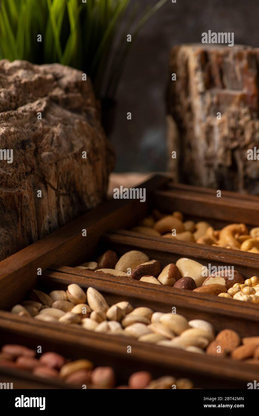 Fossilized forest hi-res stock photography and images - Alamy