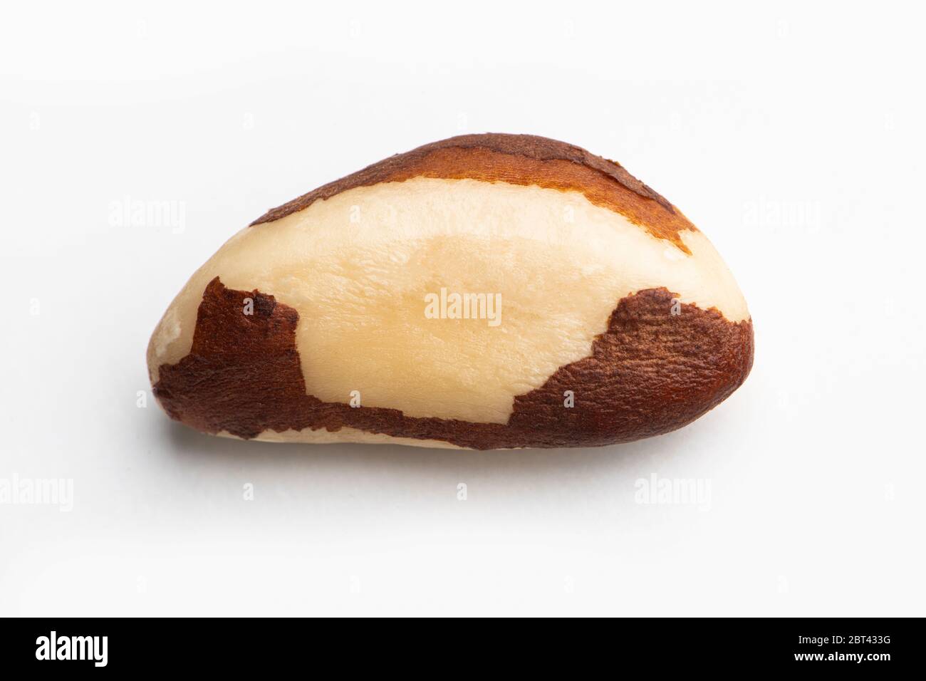 One brazilian nut isolated on a white background Stock Photo - Alamy