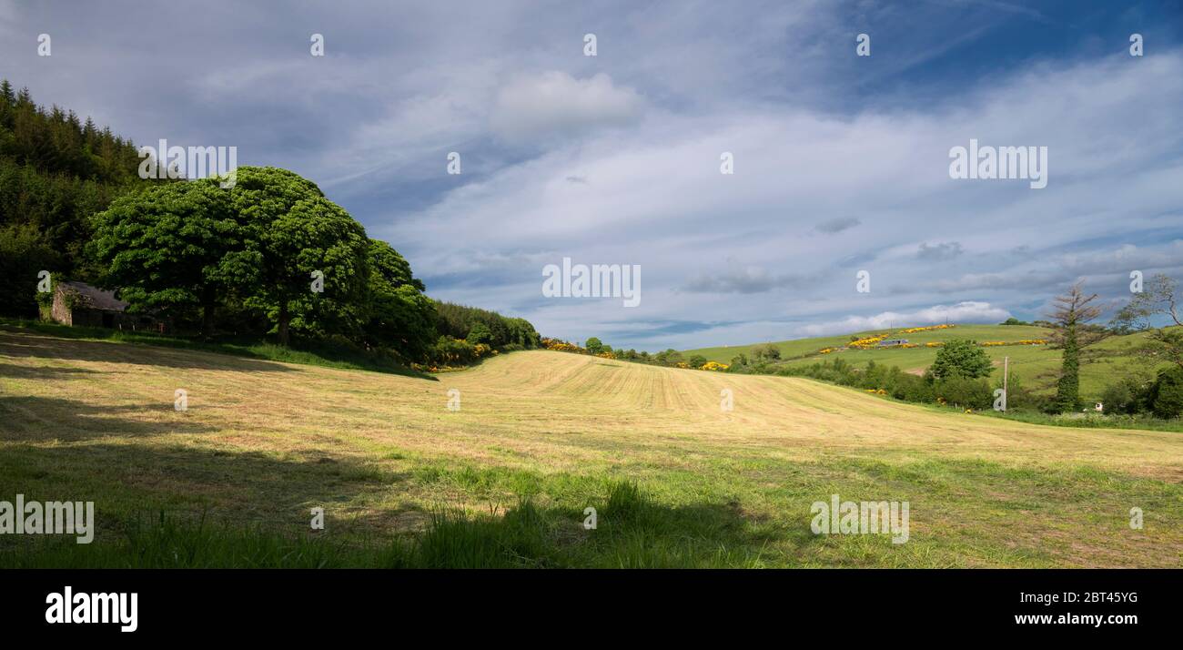 County Tipperary rural scenery Stock Photo - Alamy
