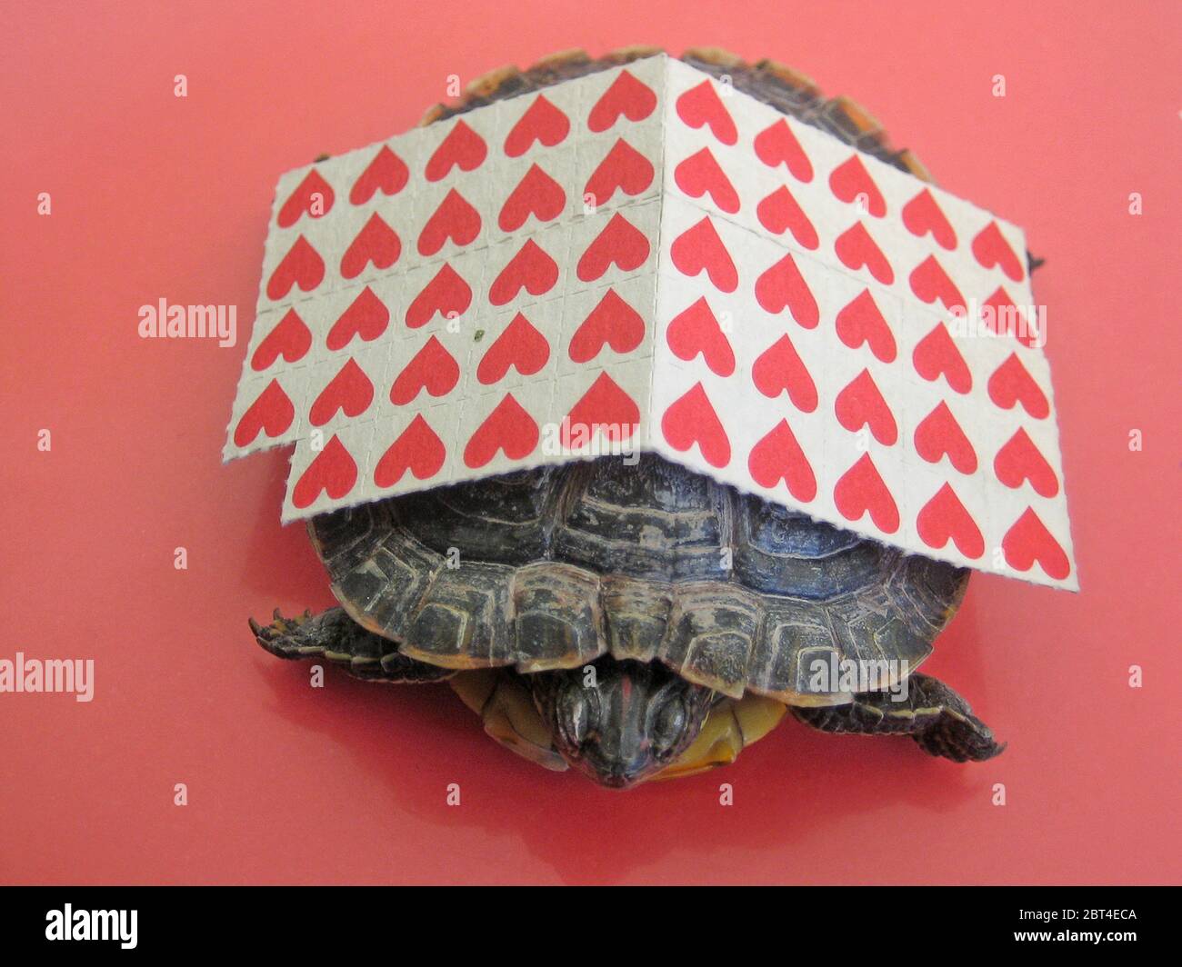 Lsd stick papers love retro psychedelic macro vintage background prints ...