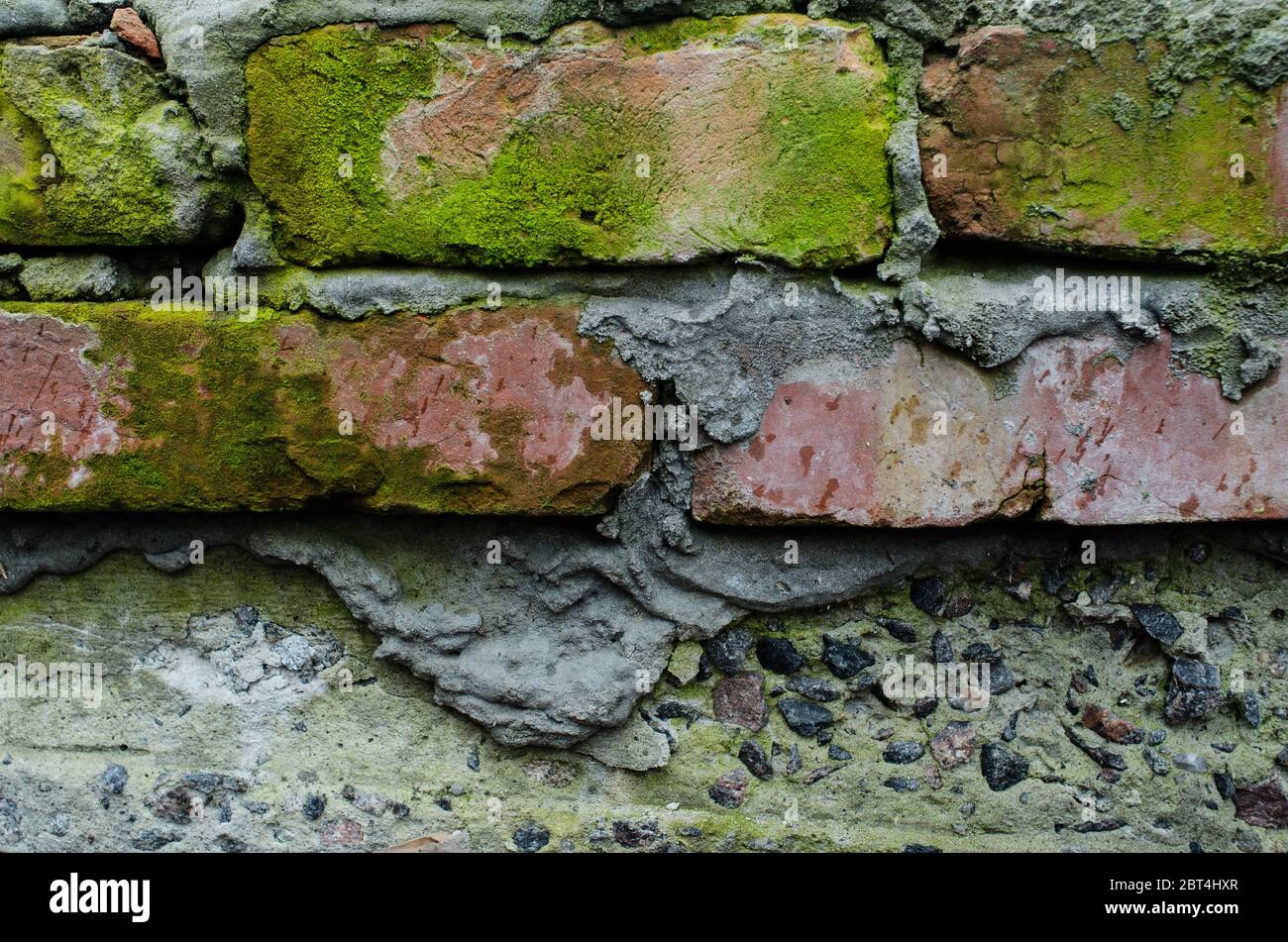 Moss Covered Bricks High Resolution Stock Photography and Images - Alamy