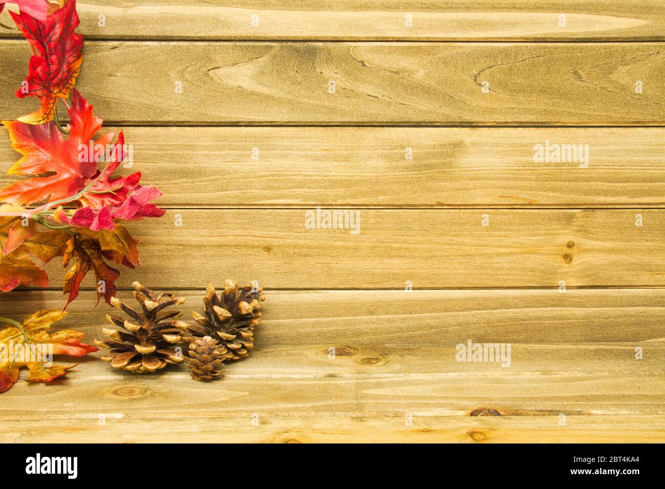 Pine Cone Rustic Background Stock Photo - Alamy