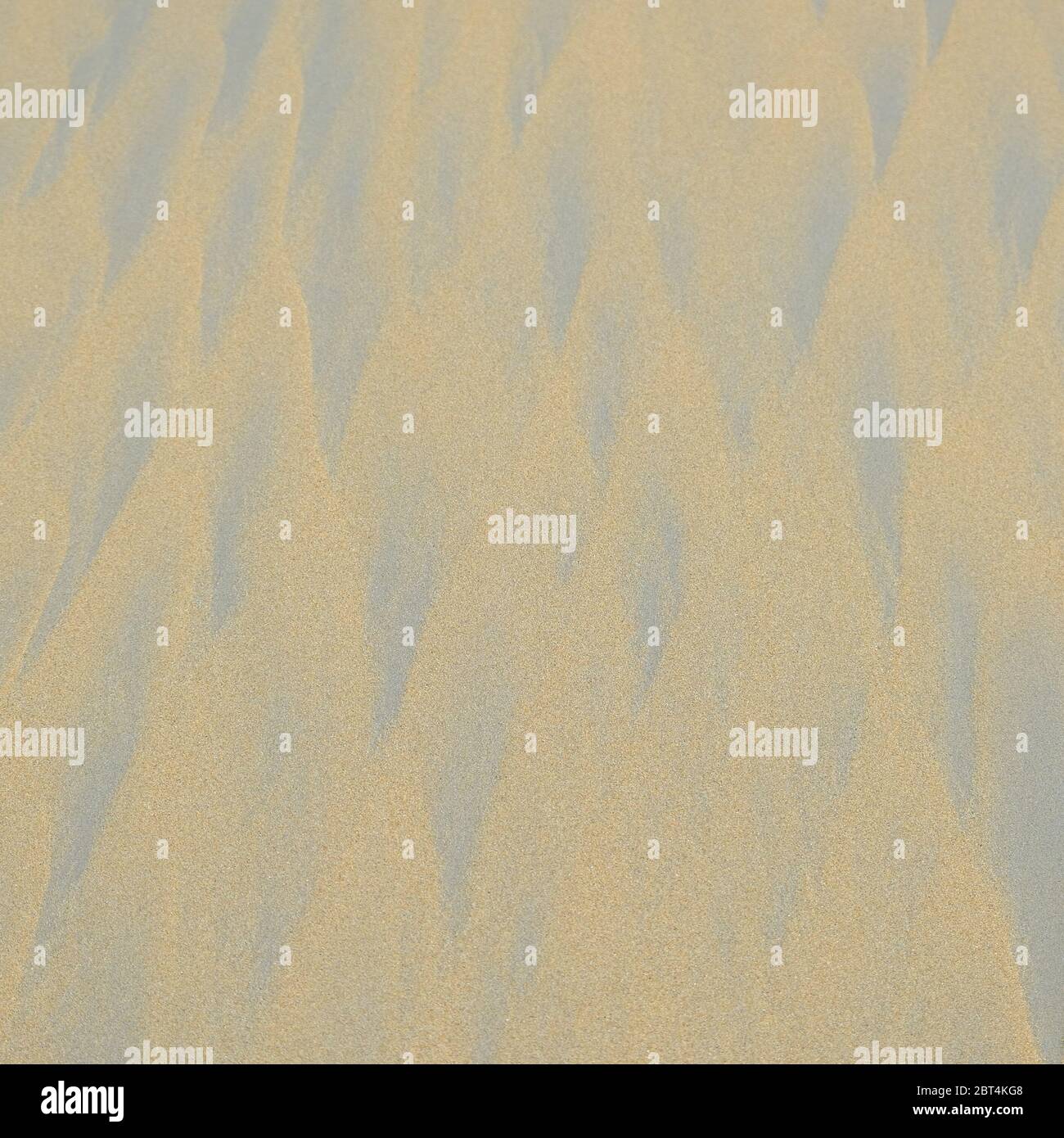 yellow blue sand and water texture as abstract background. Sand ...