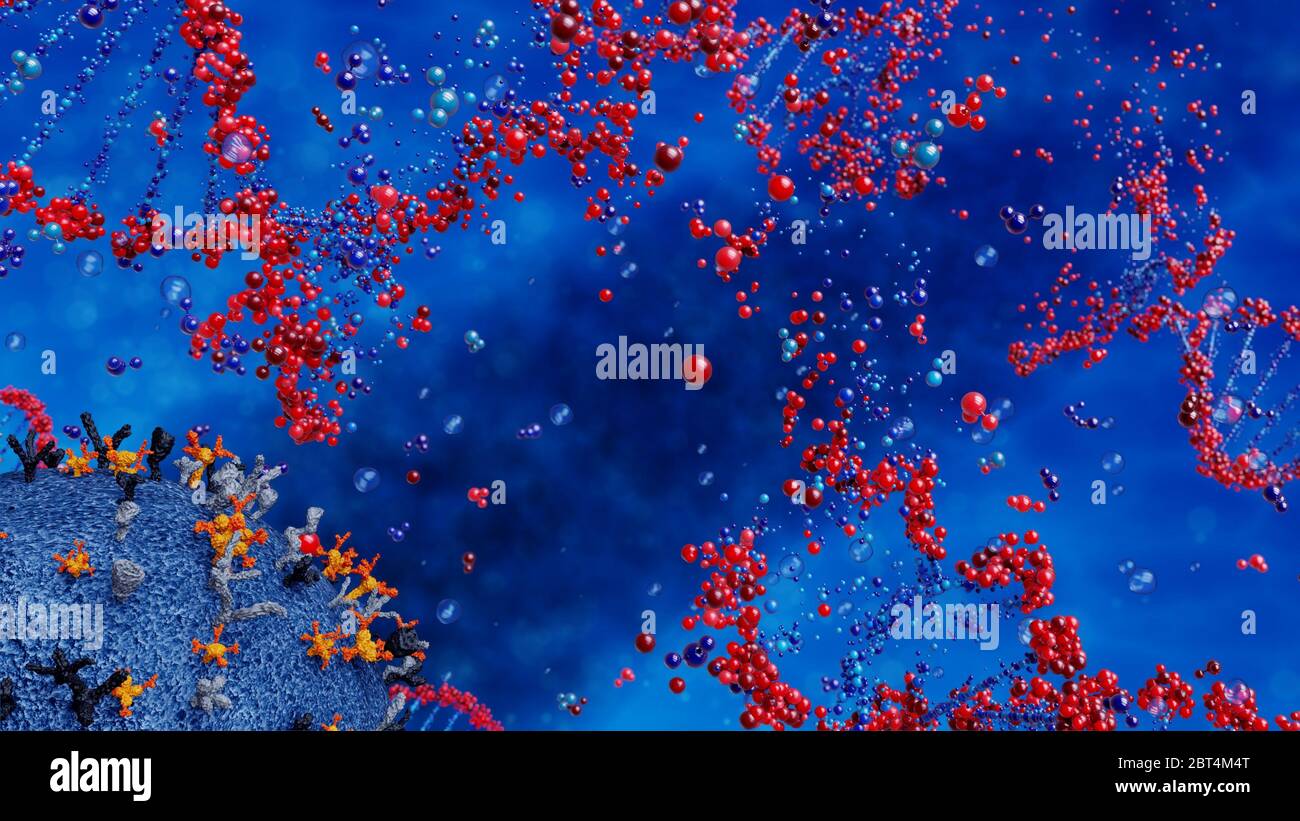 virus destroys human dna chain. Genome structure. helix molecule in the ...