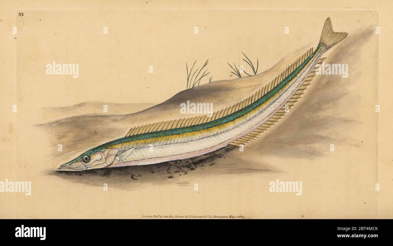 Sandeel fishery hi-res stock photography and images - Alamy