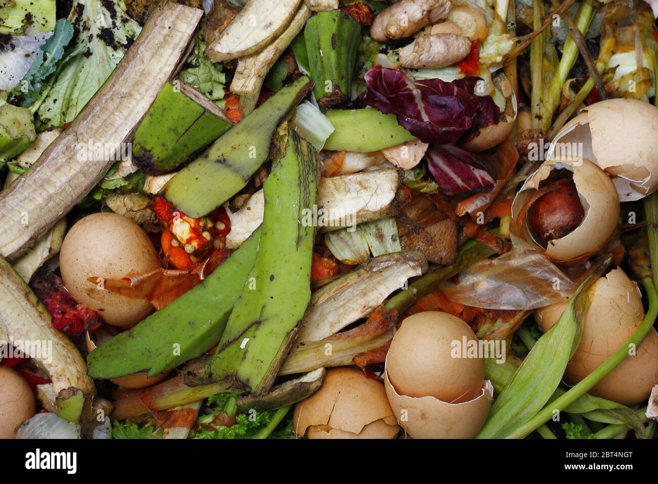 Pile of Food Scraps for Composting Stock Photo - Alamy