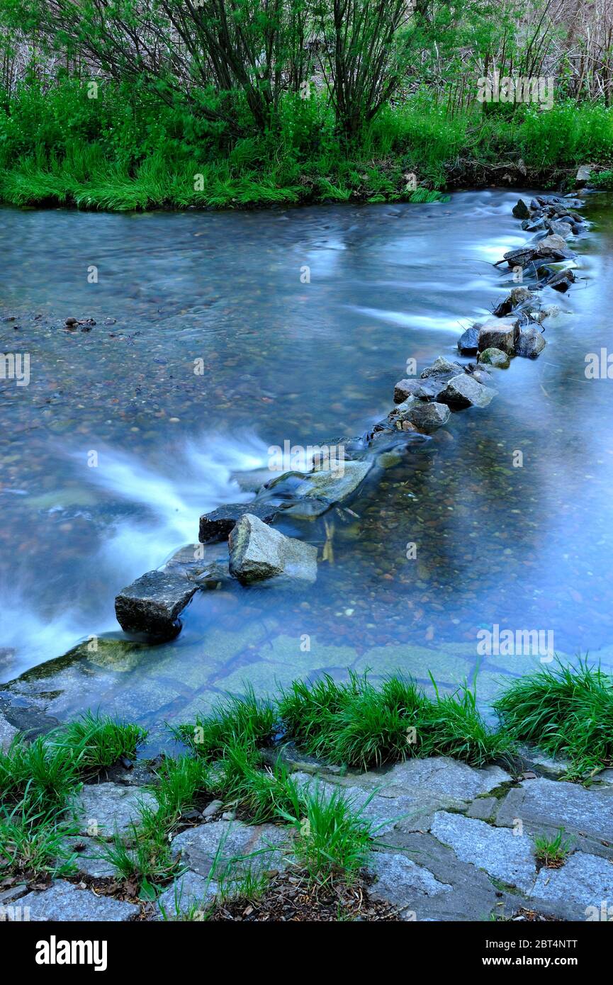 fresh, flowers, natural, natur, spring, season, health, beauty, natural ...