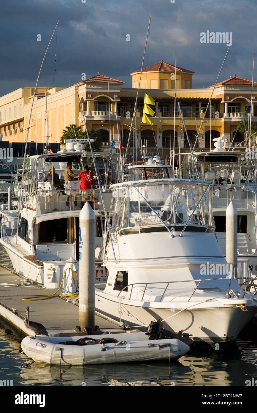 Boat Marina in Cabo San Lucas, Baja California Sur, Mexico, North ...