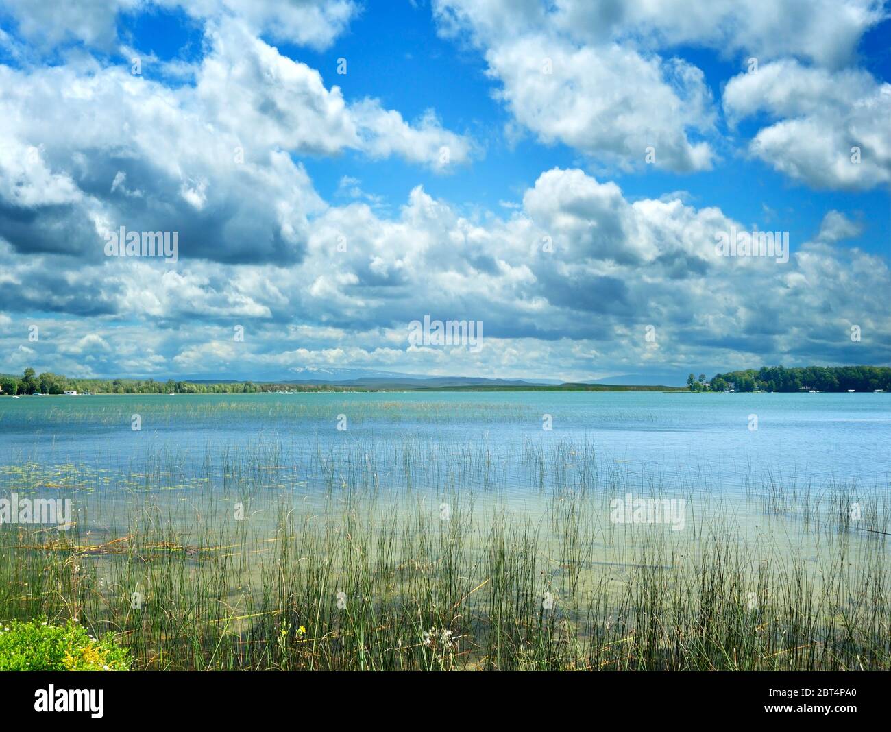 blue, summer, summerly, fresh water, lake, inland water, water, meadow ...