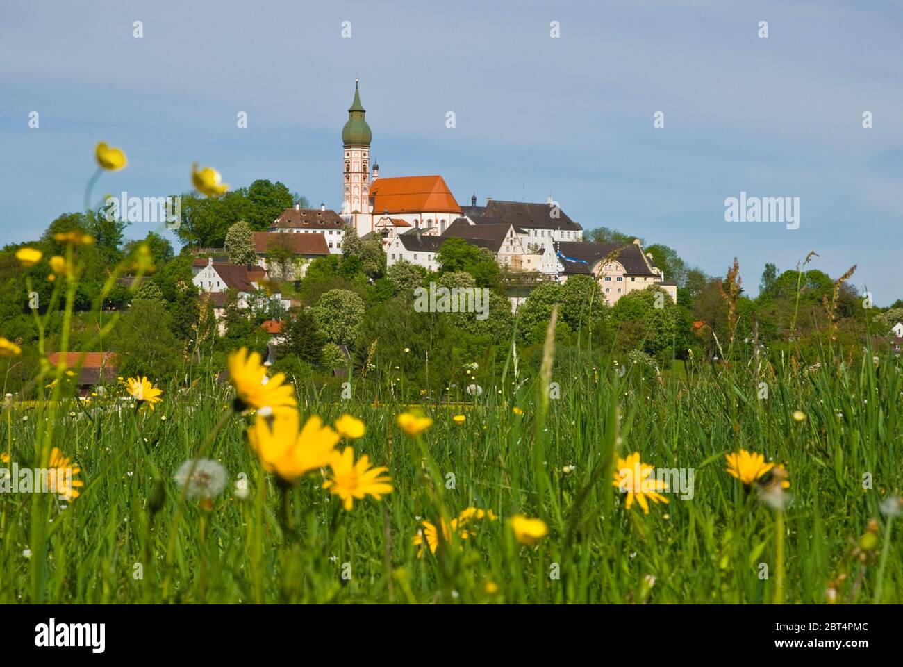 church, tree, trees, monastery, convent, pilgrimage, meadow, mountain ...