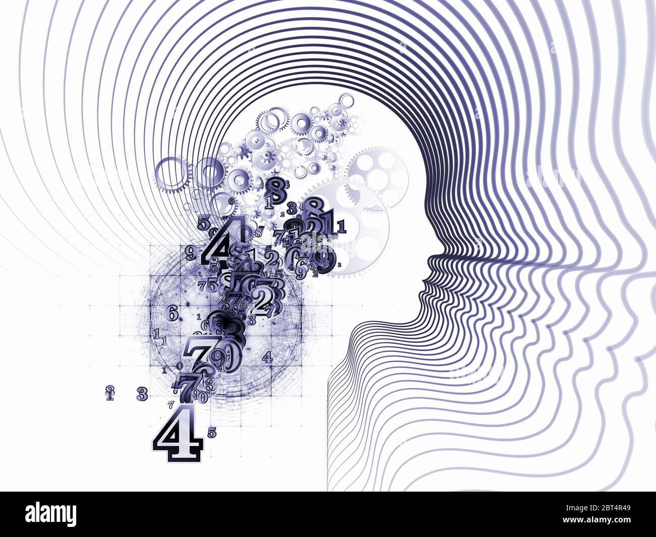 profile, calculation, education, composition, model, design, project ...