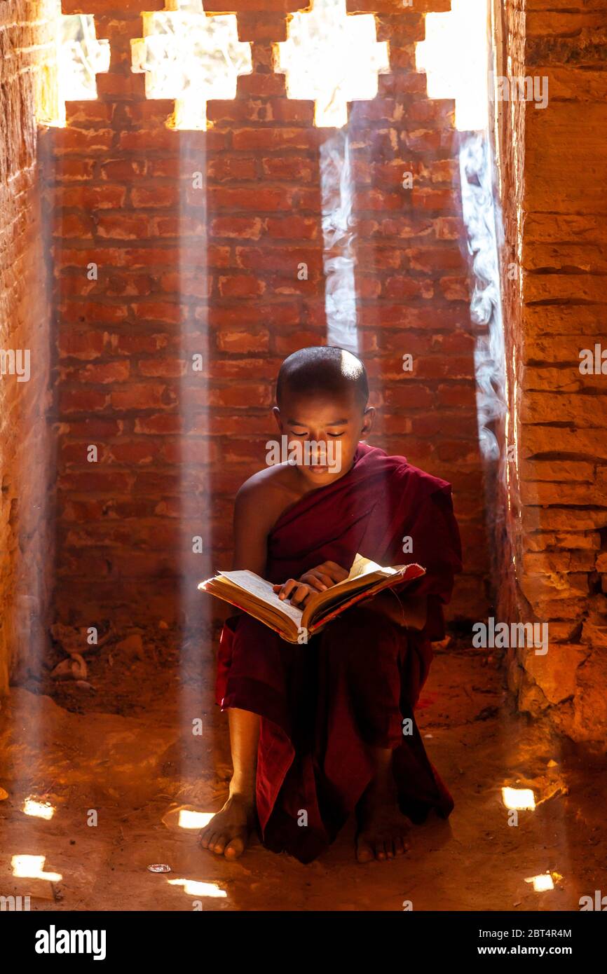 Buddhist monk reading a book hi-res stock photography and images - Alamy