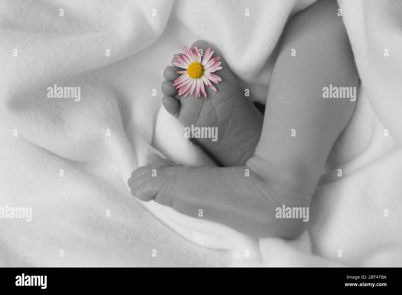 birth, childbirth, parturition, delivery, foot, feet, daisy, baby ...