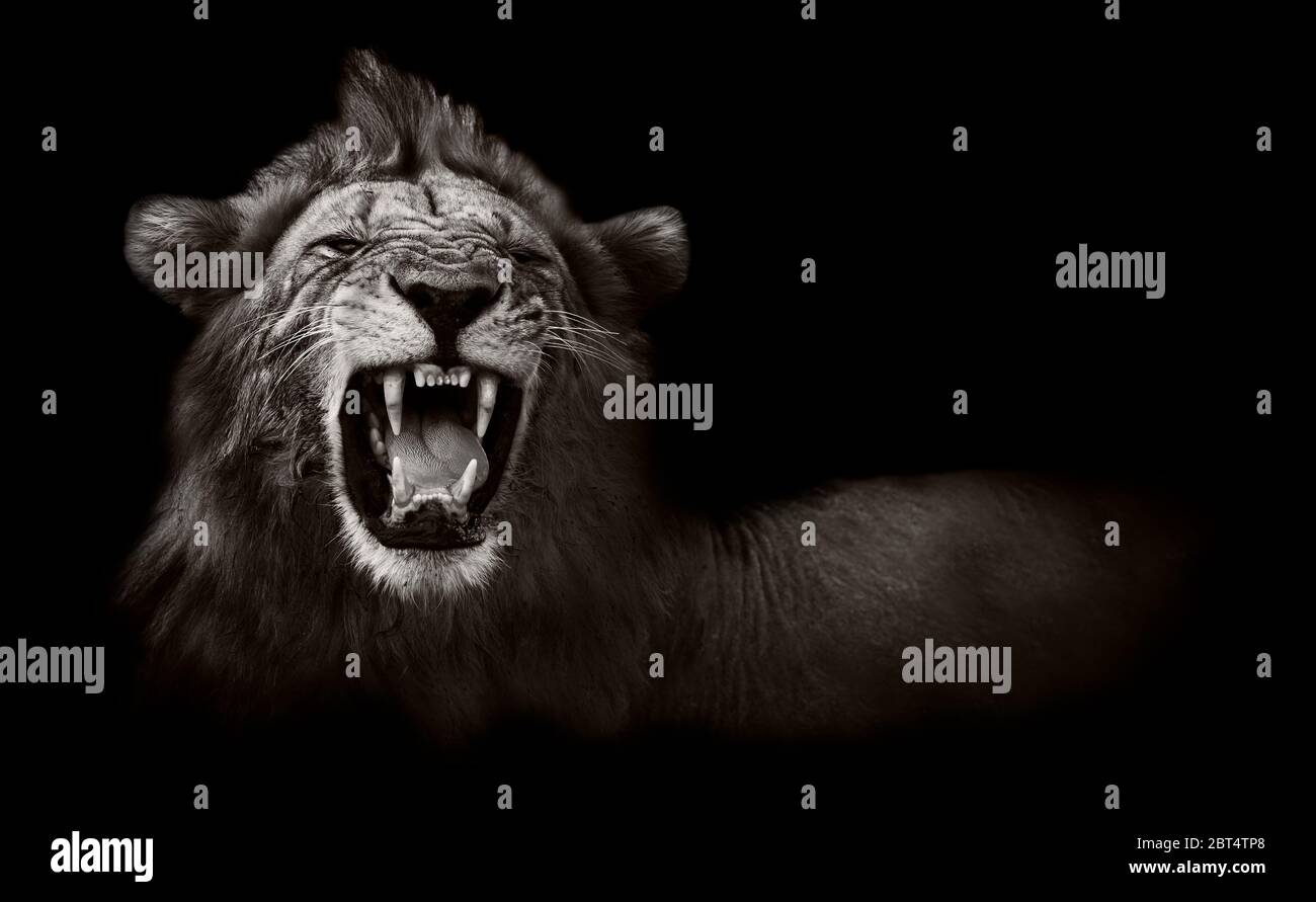 indicate, show, big, large, enormous, extreme, powerful, imposing ...