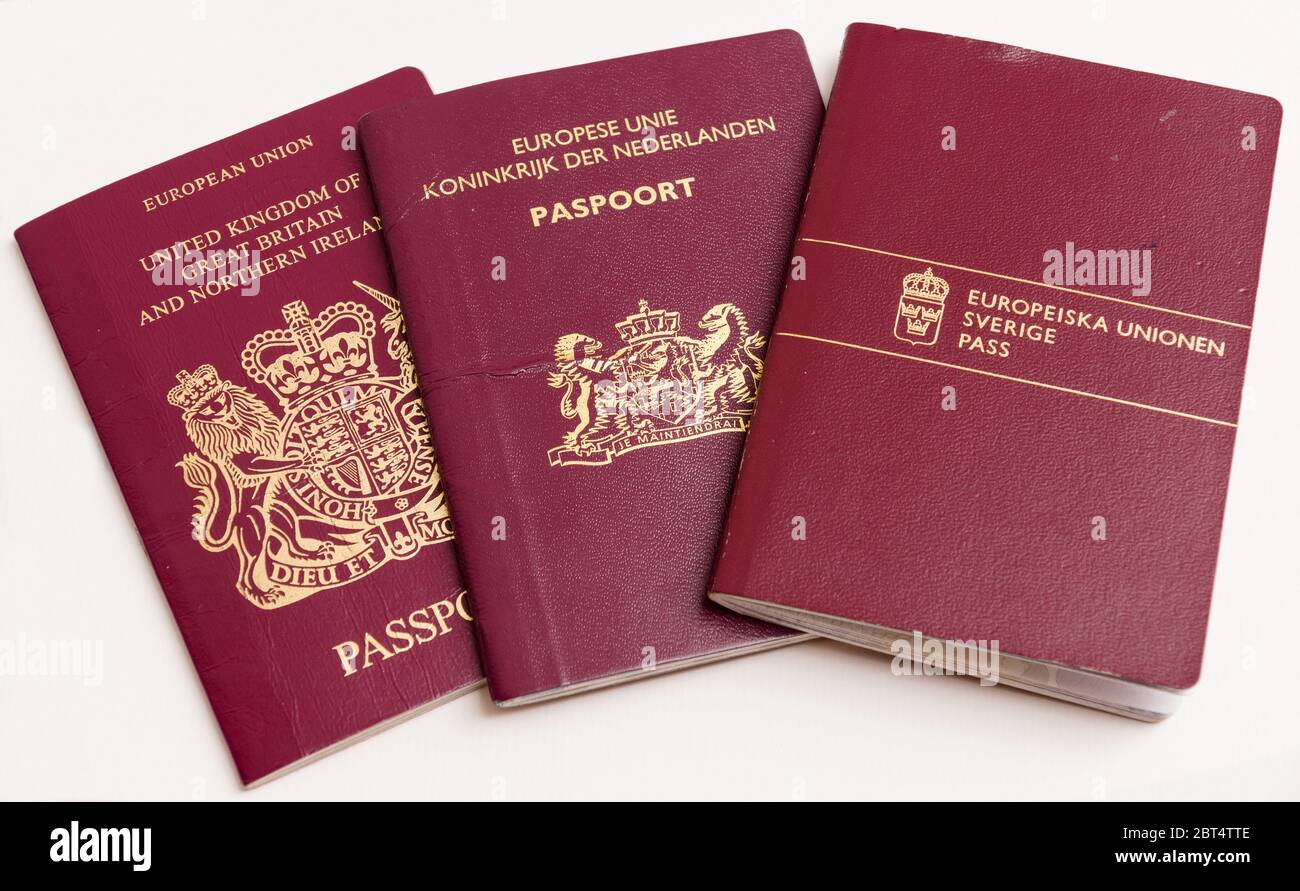 humans, human beings, people, folk, persons, human, human being ...