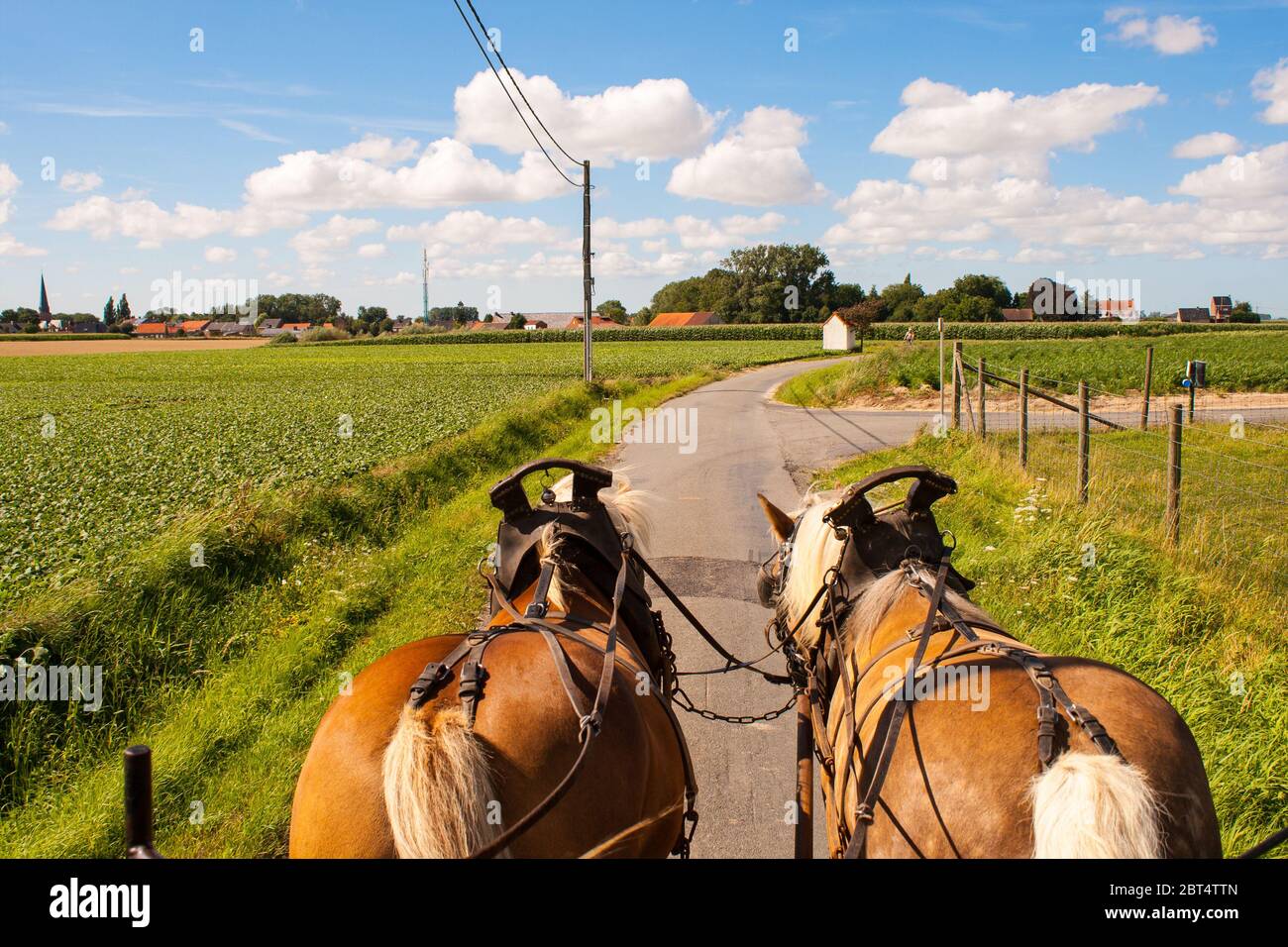 Human yoke hi-res stock photography and images - Alamy
