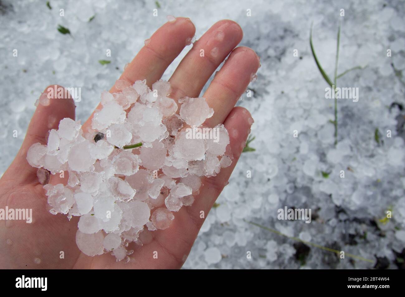 insurance, hail, damage, damages, detriments, hailstone, danger, hand ...