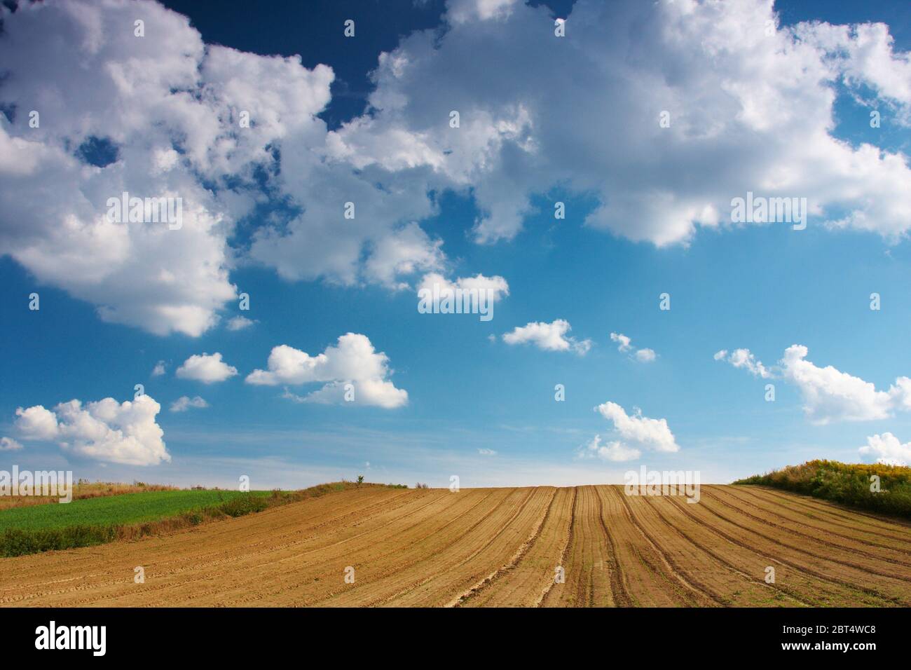 blue, hill, field, horizontal, landscape, scenery, countryside, nature ...