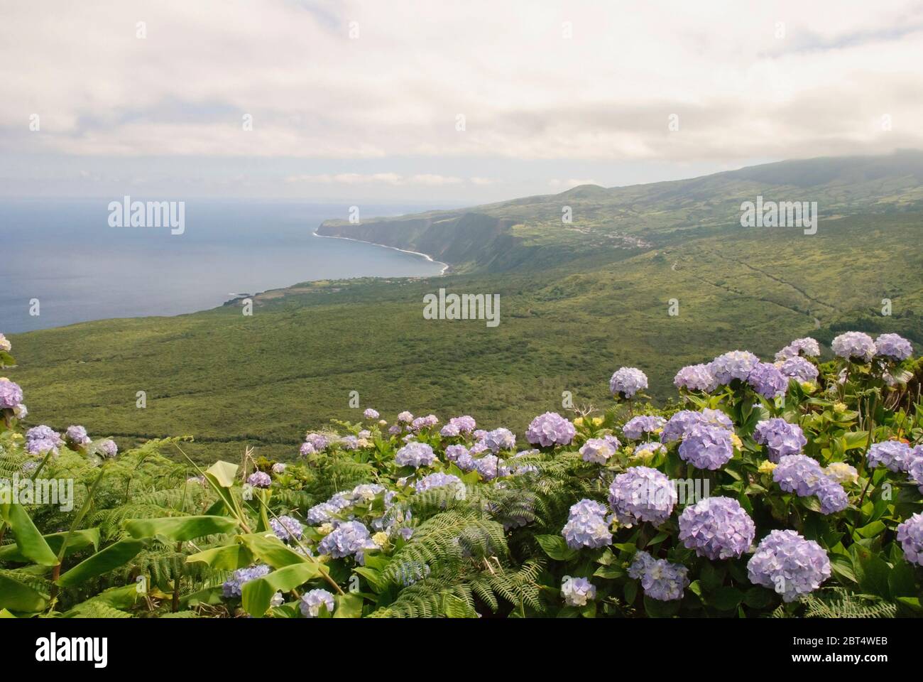 sight, view, outlook, perspective, vista, panorama, lookout, island ...